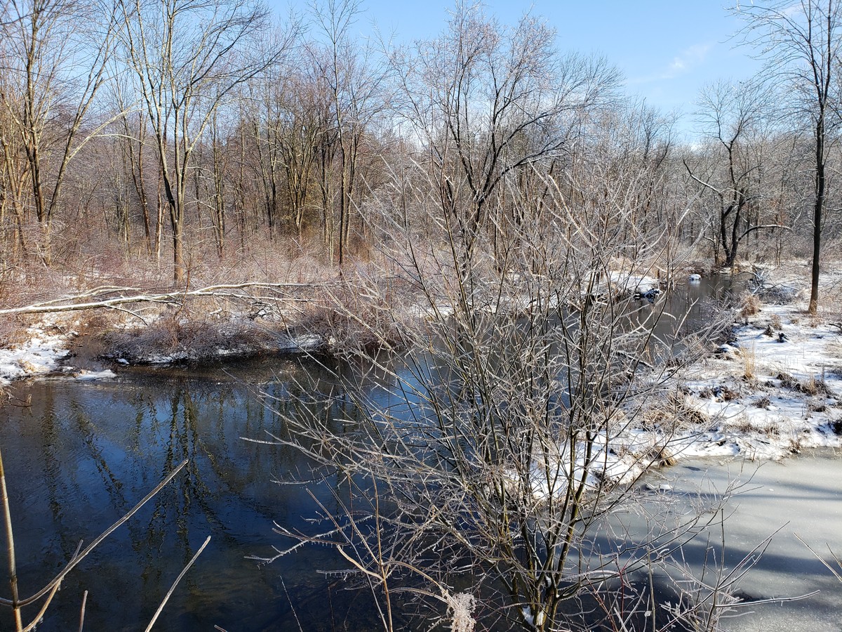 Harriman Hiker: Harriman State Park and Beyond: Kakiat Ice Storm