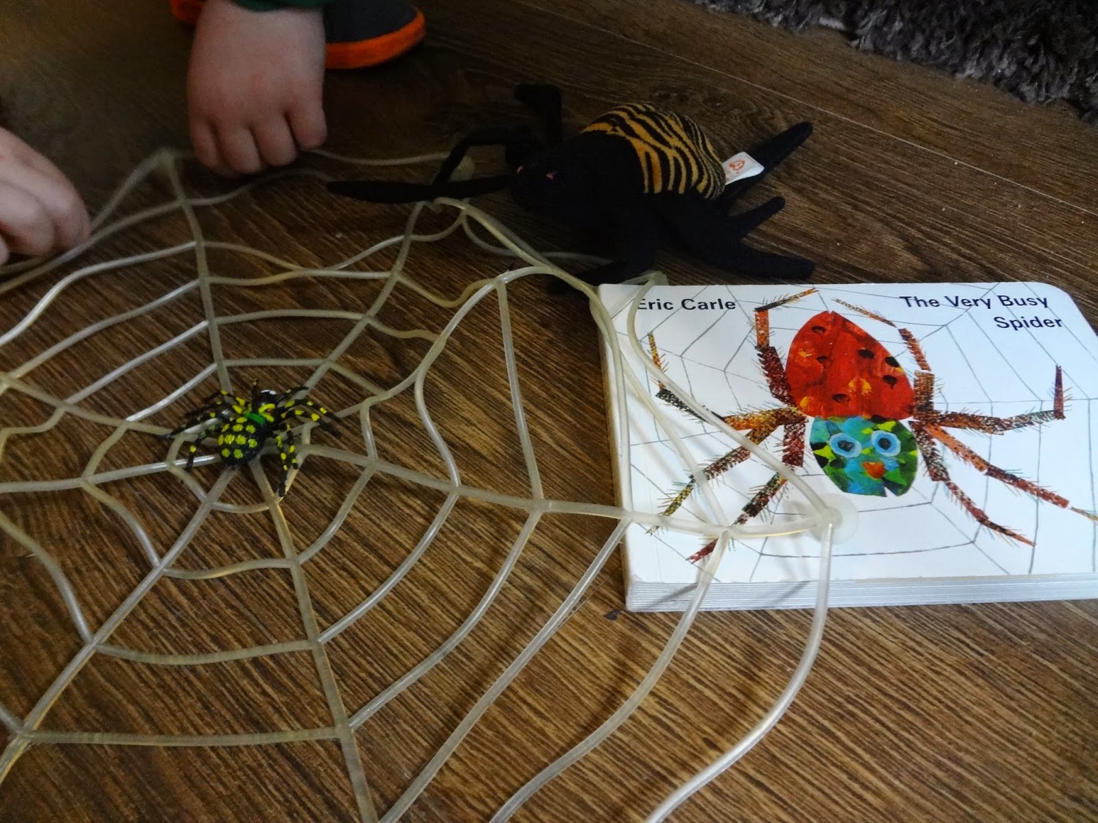 It's all about stories!: Spiders and spider's webs | Understanding the ...