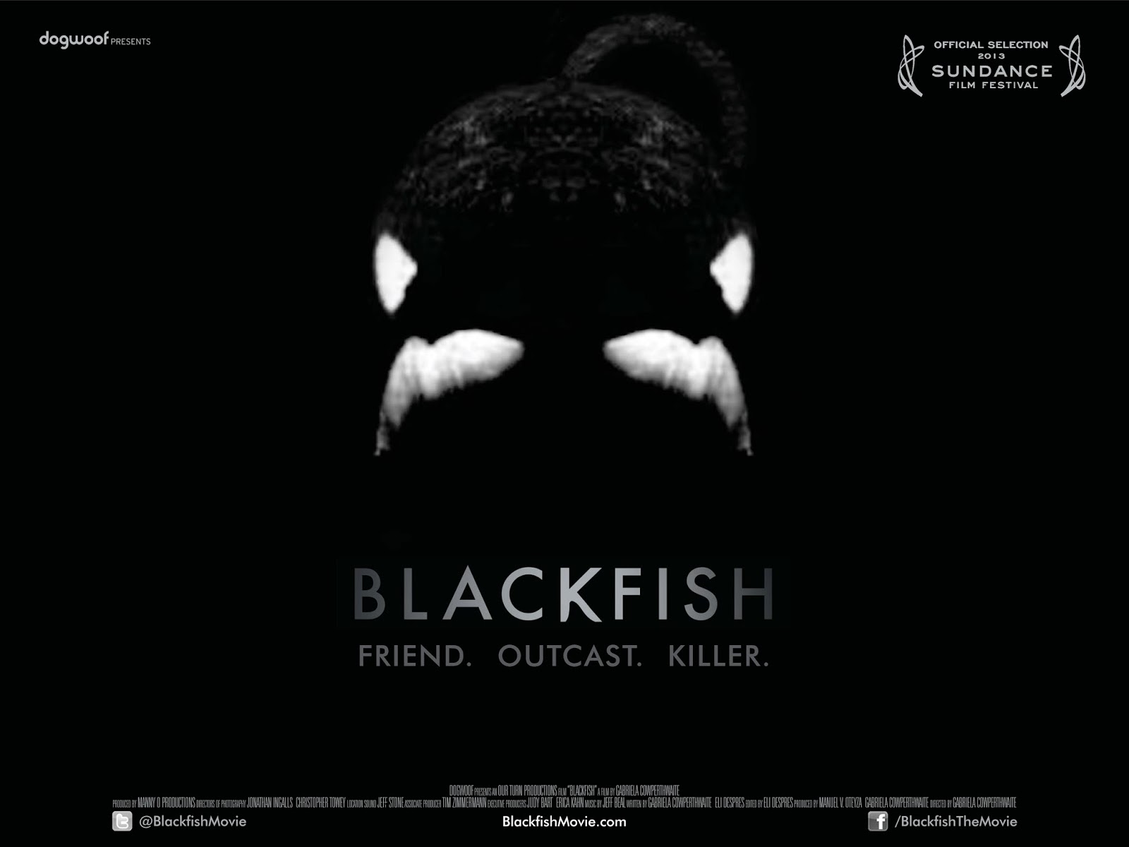Crispy Sharp Film: Film Review: Blackfish (Gabriela Cowperthwaite) 2013