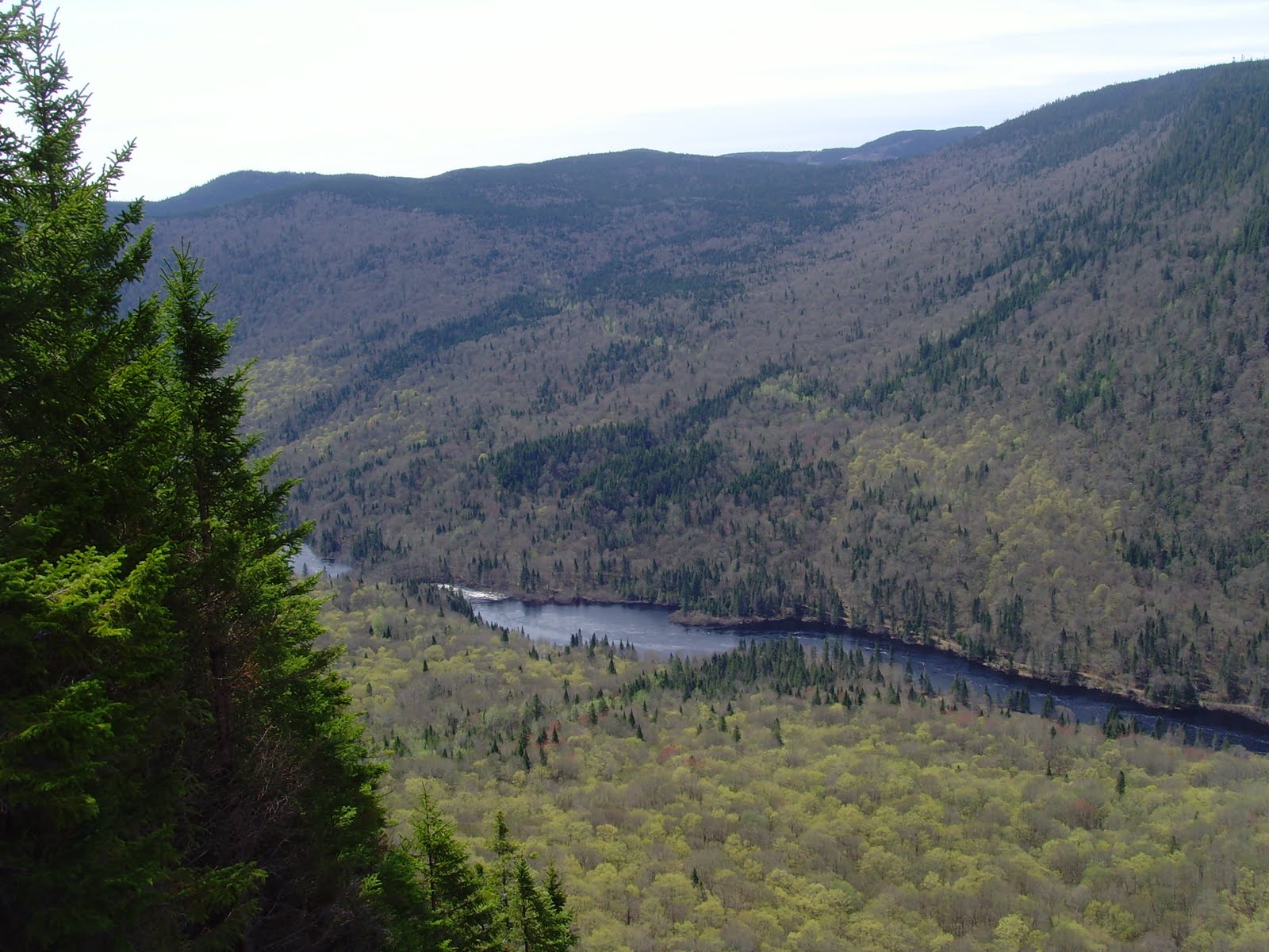 JE ME SOUVIENS: Parc National : Jaques-Cartier ( 3ème partie )