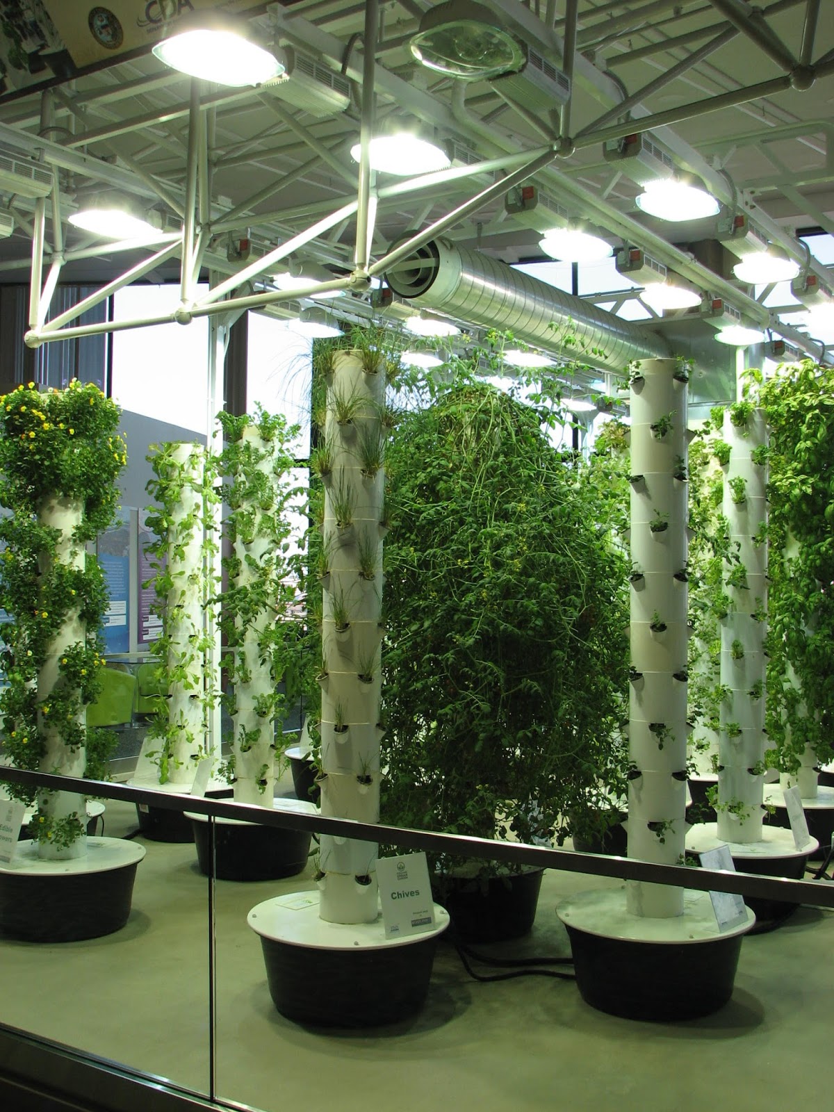 Prairie School Farms: Plant geek: urban garden at O'Hare