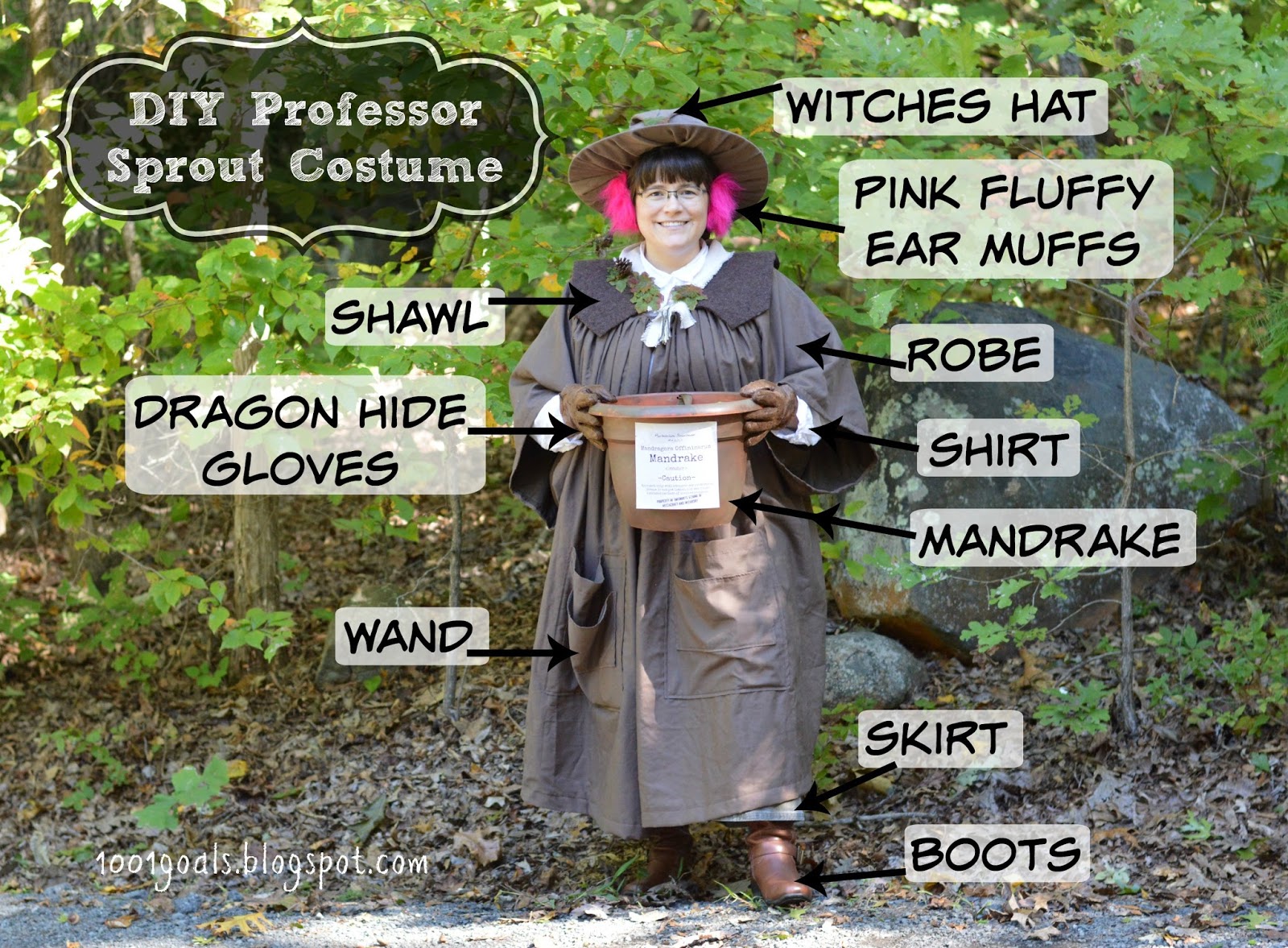 1001 Goals: DIY Professor Sprout Costume