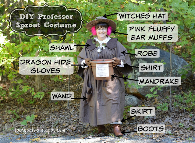 1001 Goals: DIY Professor Sprout Costume