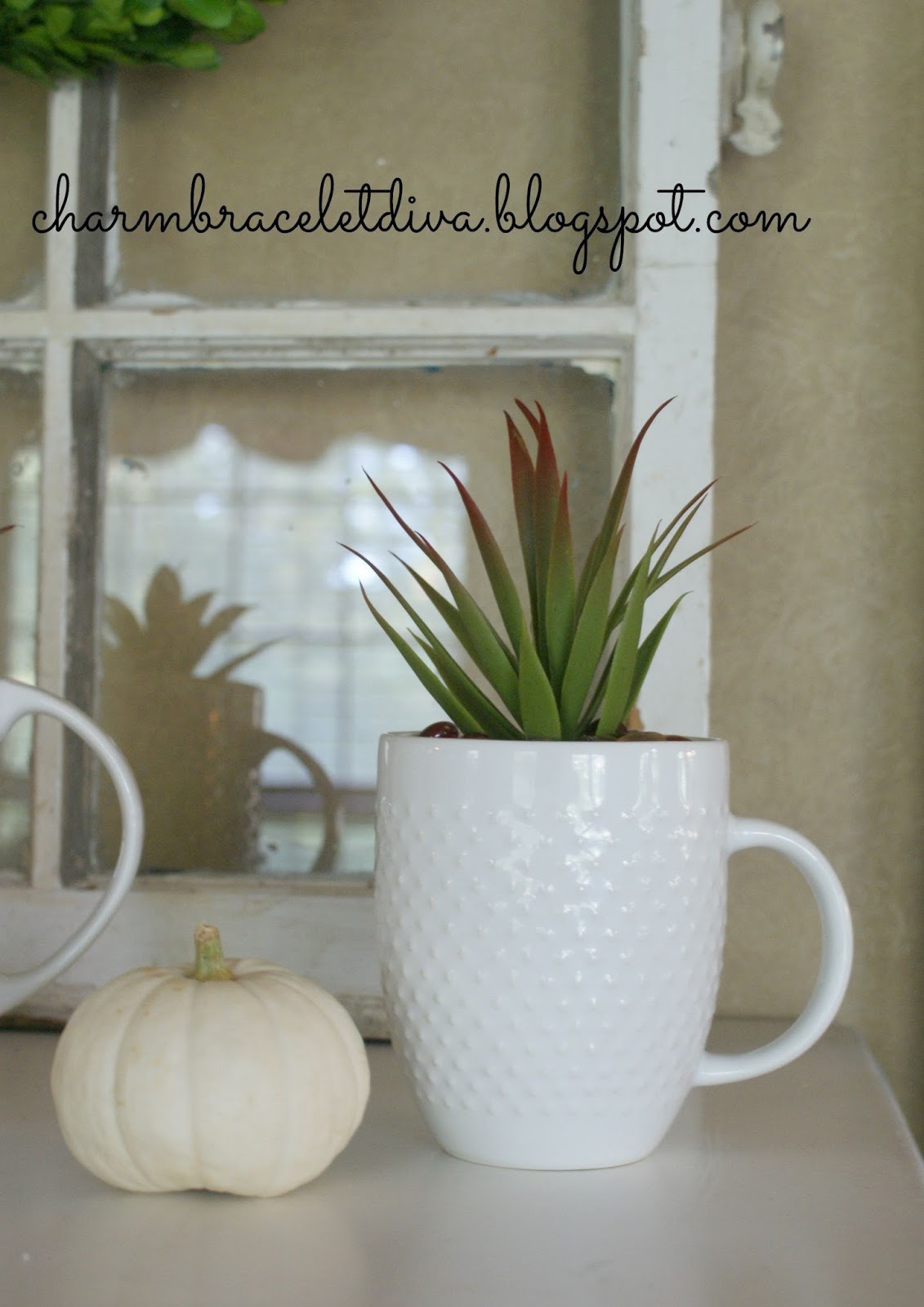 Our Hopeful Home: 5 Tips for Styling Succulents (and Where I got Mine!)