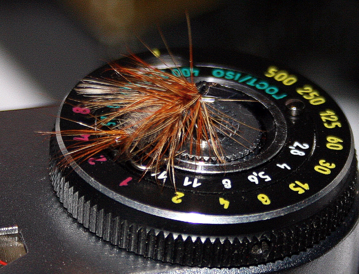 Fly Fishing In Yellowstone National Park: "DRY FLIES" for the mud