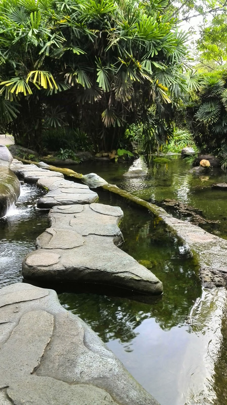 namakucella: TAMAN TASIK PERDANA @TAMAN BOTANI PERDANA KL