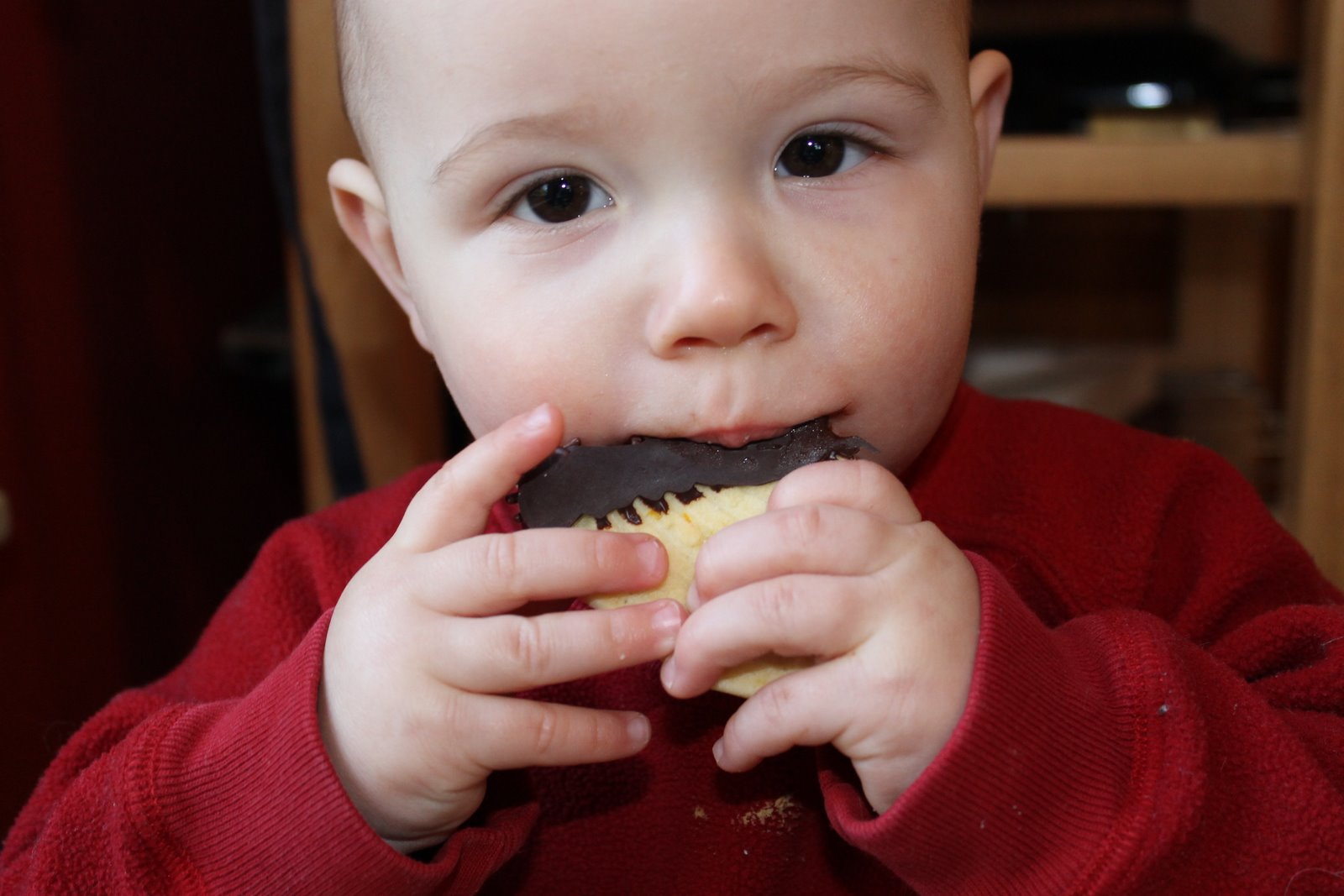 born imaginative.: Danish Chocolate Orange Cookies