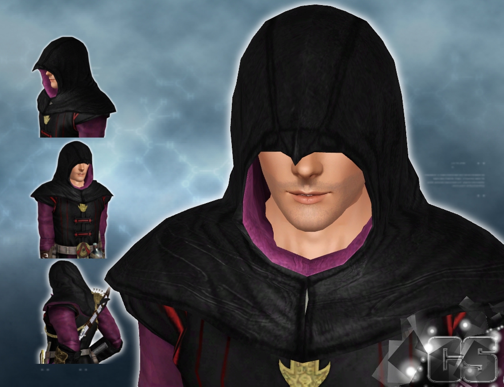 Sims 4 assassin mod - polesong