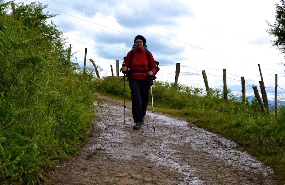 El Camino de Santiago desde Asturias: Se acerca el cuarenta de mayo ...