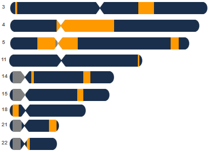 All My Foreparents: Some Basic Chromosome Mapping