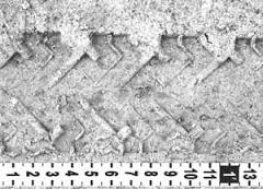 Linda Shenton Matchett: Forensic Friday: Pattern Evidence