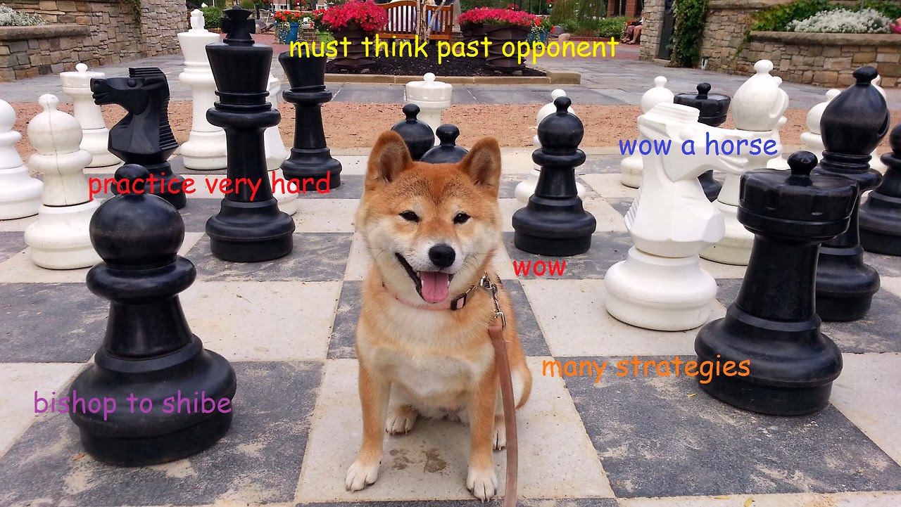 Awesome Doge: Doge chess