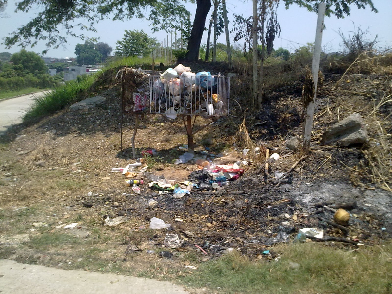 Contaminación del Suelo: Contaminación del suelo