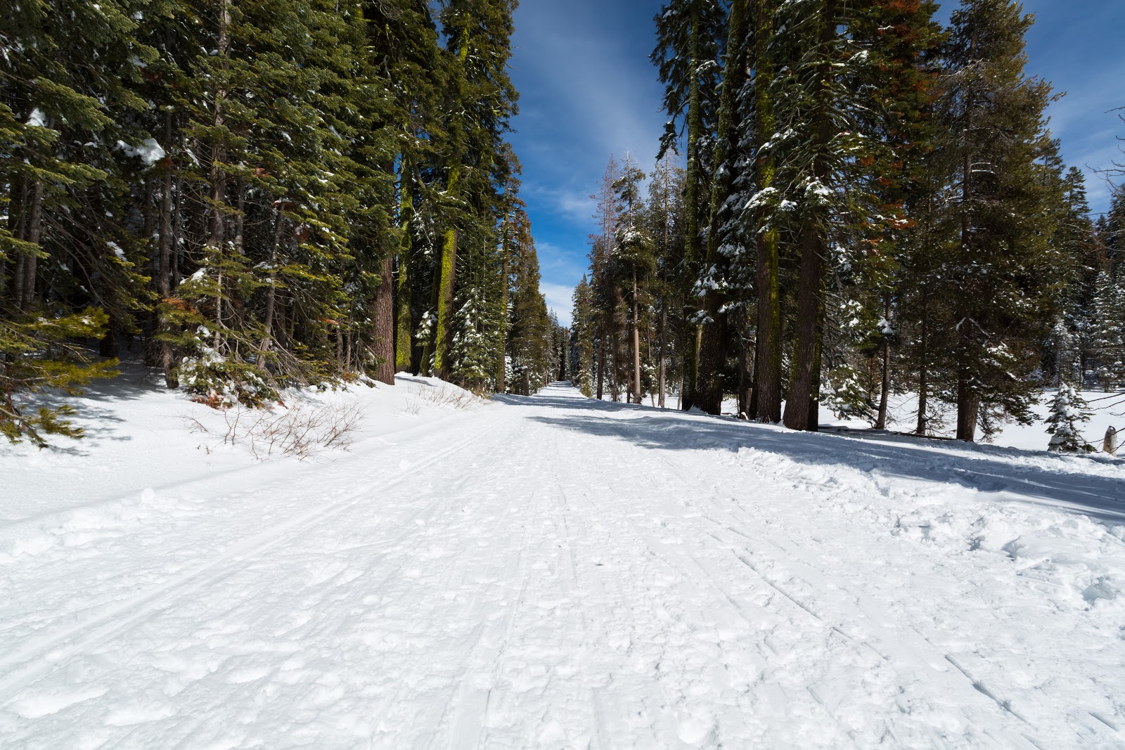 Naturetastic Blog: Glacier Point Road (Part 8) - Yosemite National Park, CA