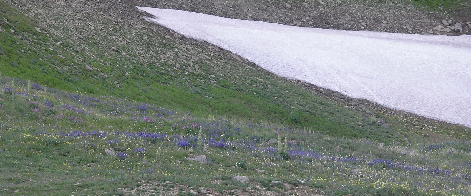 Travel with the Slivas: Medicine Wheel Passage Scenic Byway - near ...