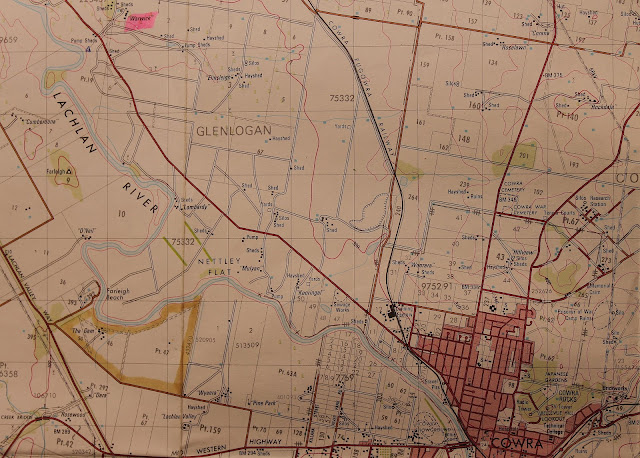 THE PIGOTT FAMILY OF QUEEN'S COUNTY, IRELAND; SOME ANCESTRAL ...