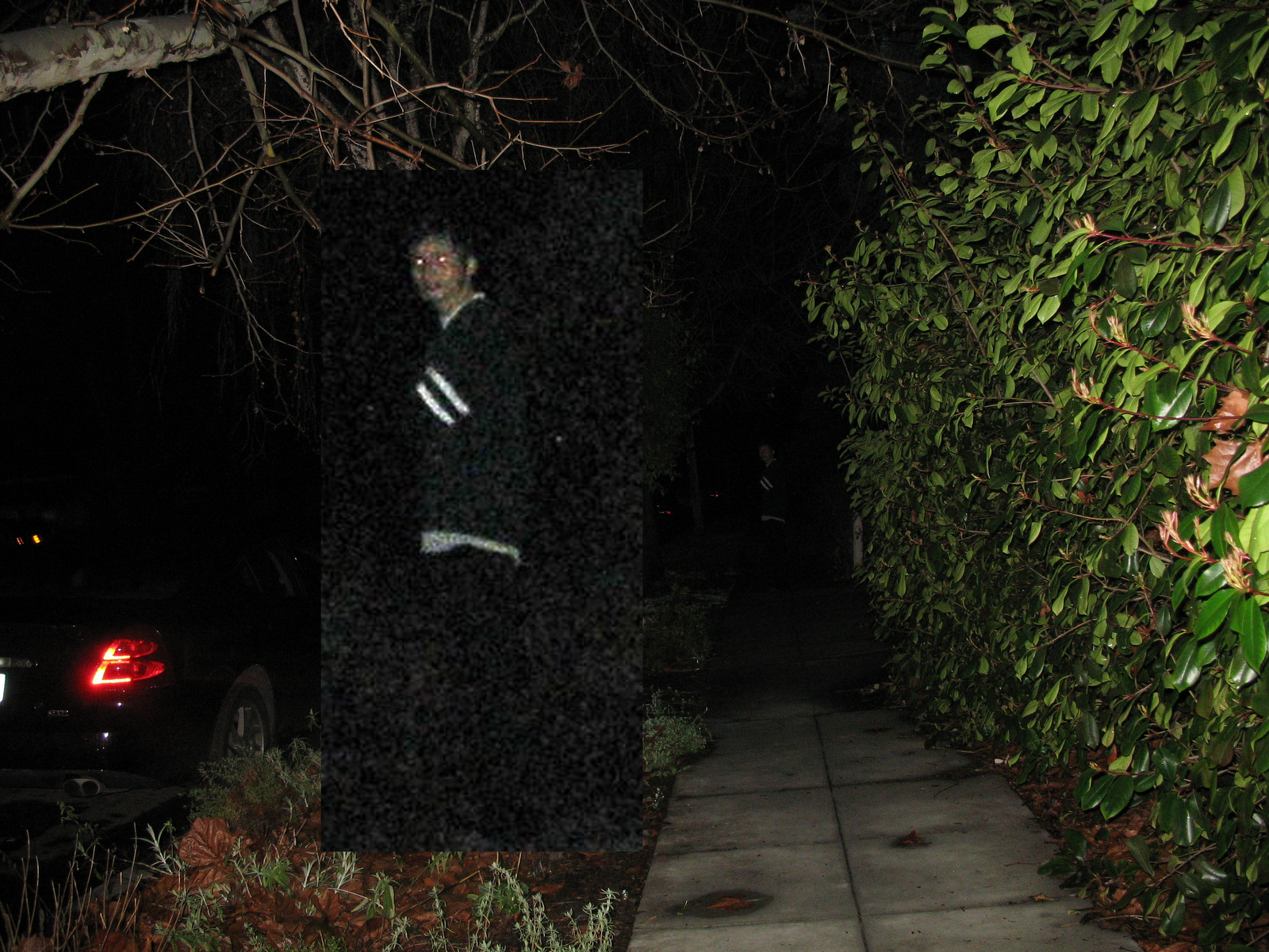 The Life of a Demoniac: PHOTO GALLERY | The many faces of the demon ...