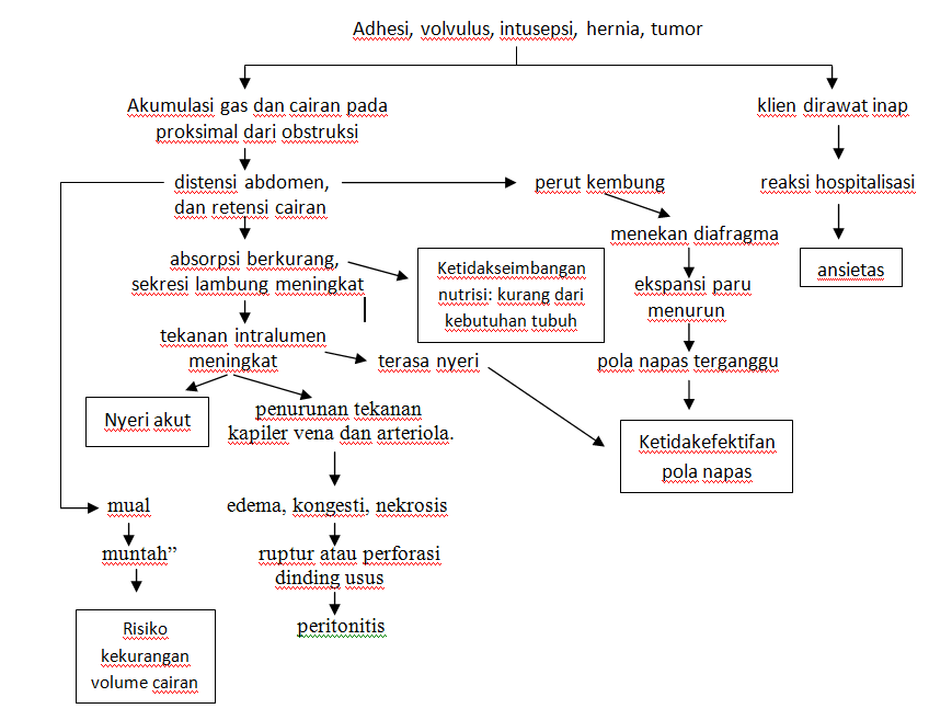 Aksi perawat berAKSI: Asuhan Keperawatan pada Klien dengan Obstruksi Usus