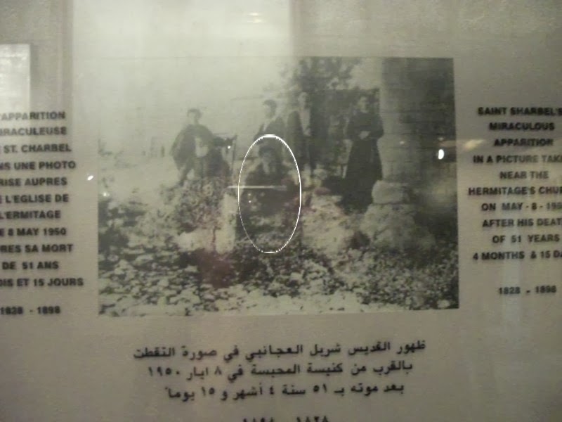 ...din imaginatie...: SFANTUL SARBEL -fecunditatea postuma a unei vieti ...