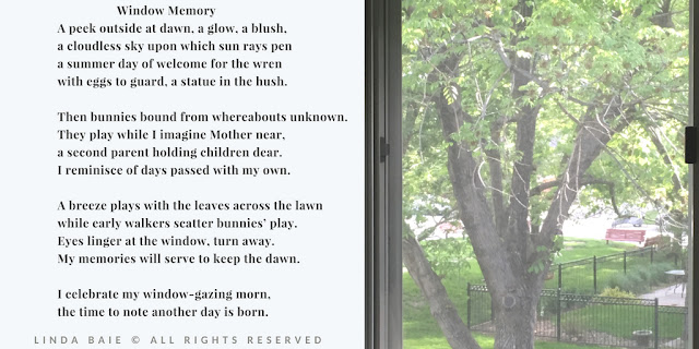 TeacherDance: Poetry Friday - Window Memory