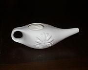 Allergies? You may try want to try a Neti Pot!