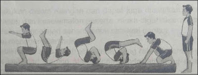 Teknik Dasar Roll Depan dan Roll Belakang Yang Benar - Jasmani Pedia