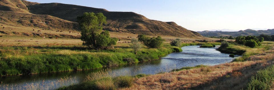 Frugal Poet's Guide to Life: Writer’s solitude tucked into Wyoming’s ...