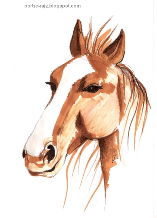 Digitális portré rajz készítés - Portrait drawings: Állati portré ...