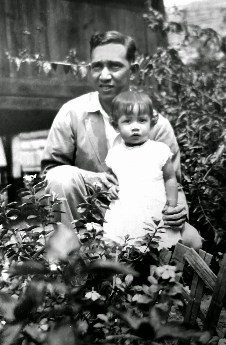 Novels published by DM Books: Bahau, the Elephant & the Ham - Images