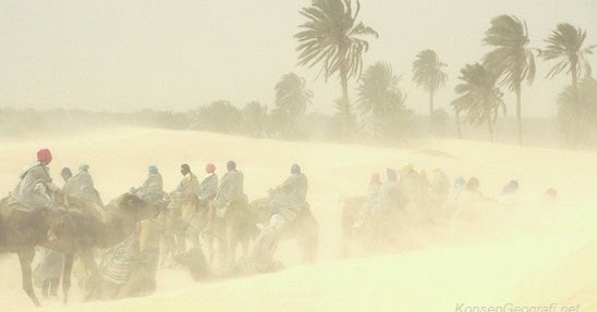 6 Jenis atau Macam macam Angin yang Ada Di Muka Bumi - Konsep Geografi