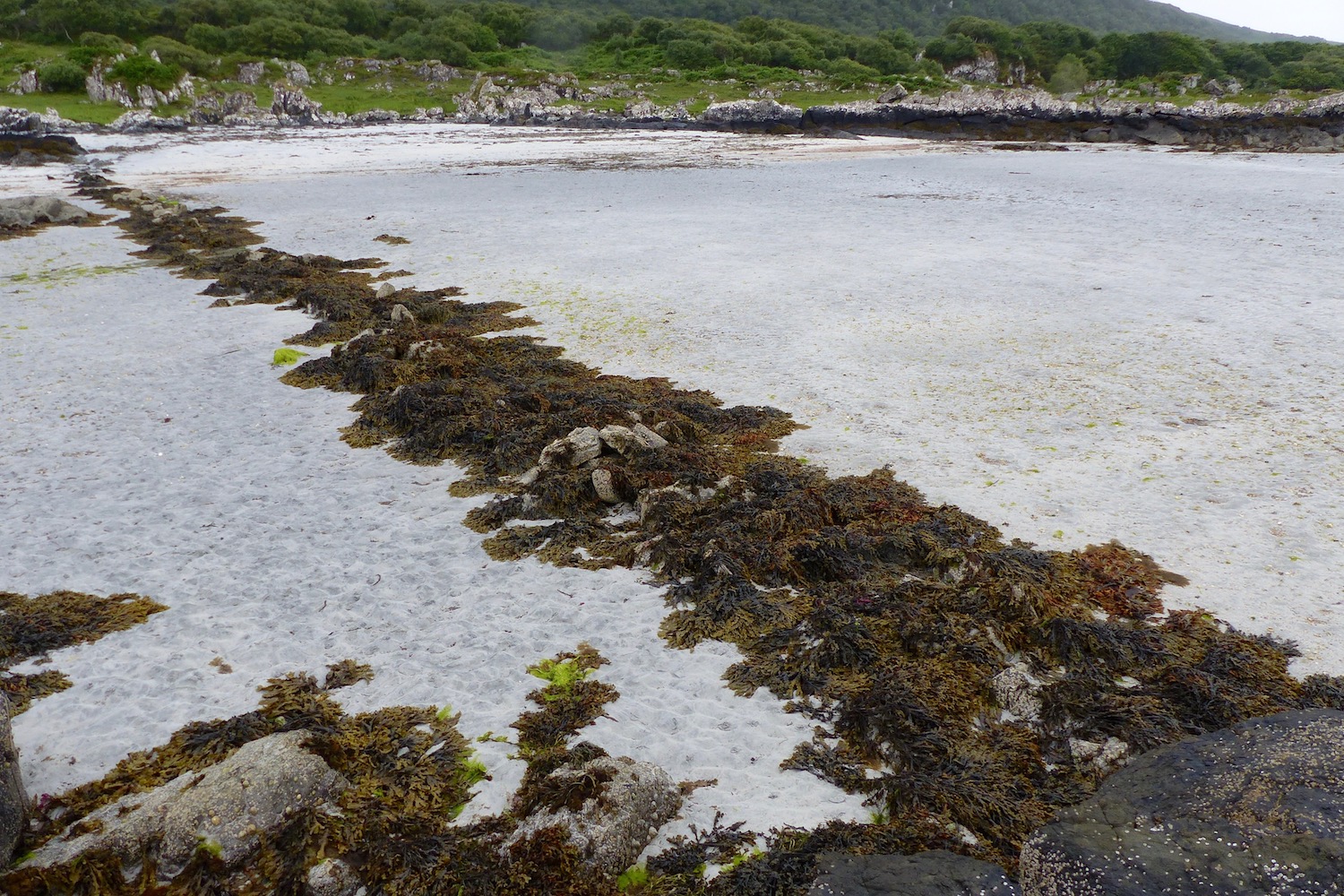 A Kilchoan Diary: Achateny Beach