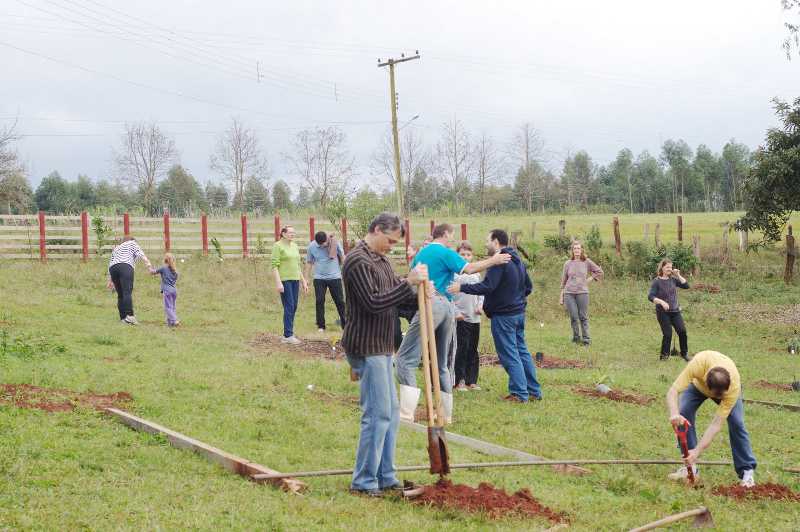 Família Birck: COMO FAZER UM POMAR EM APENAS 1 DIA