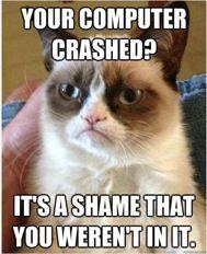 Grumpy Cat: Computer Crashed