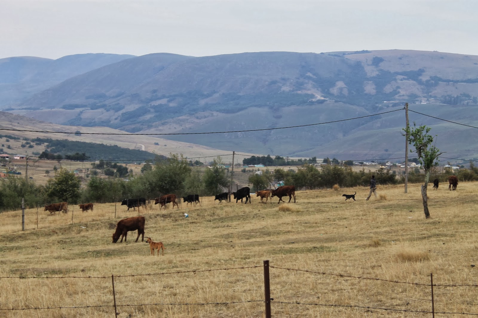 My Journey: Healthcare & International Travel: Impendle: Description ...