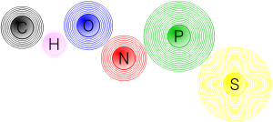 QUIMICA: ¿Cuales elementos quimicos son importantes para el buen ...