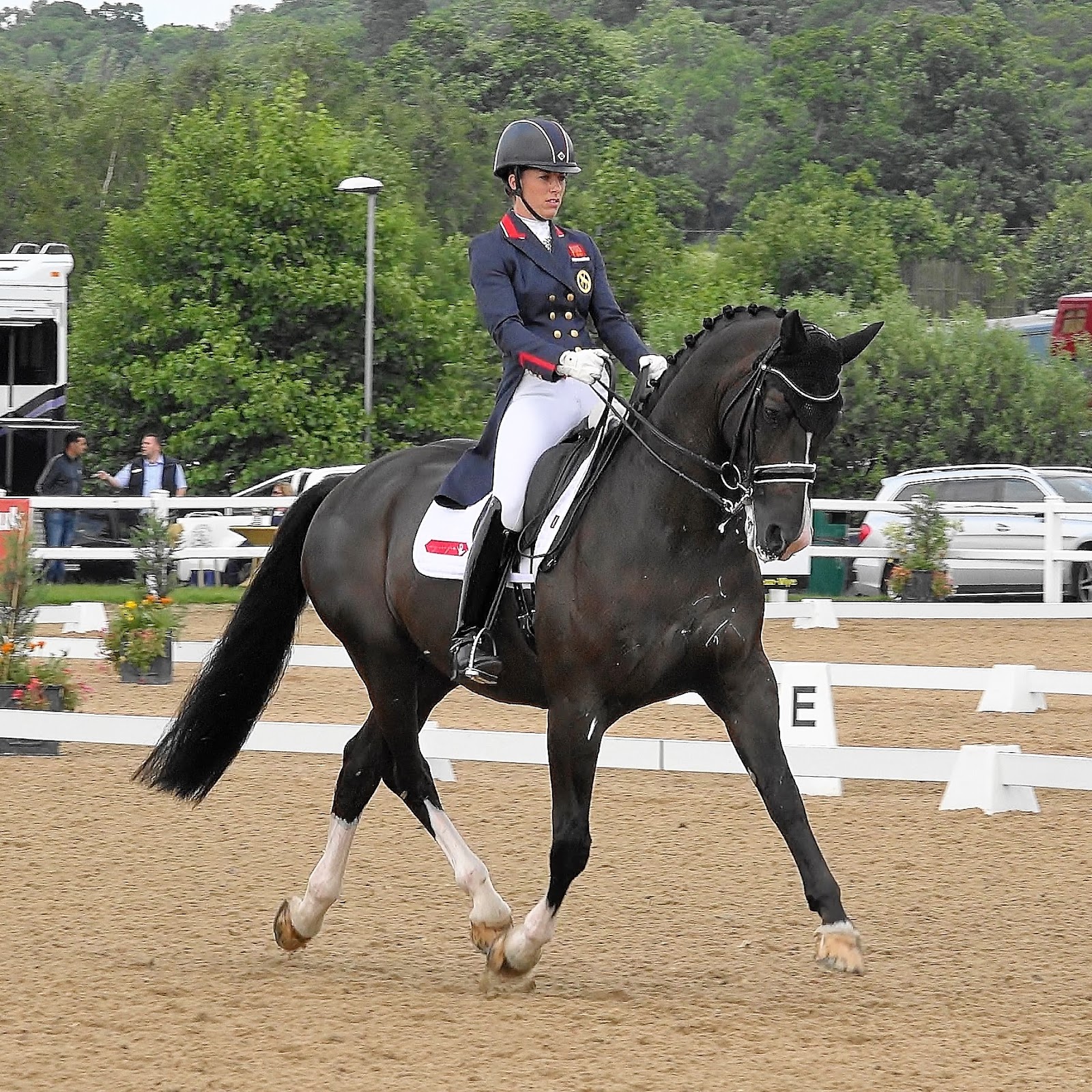 “Valegro Sculpture for Newent” Media Release July 2018