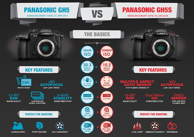 Infographic Comparison: Panasonic GH5 vs GH5s ~ Digital Camera ...