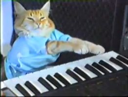 Fenomena Keyboard Cat | Kucing gue