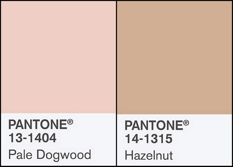2 Good Claymates: Pantone Spring 2017 Fashion Colors Pale Dogwood and ...