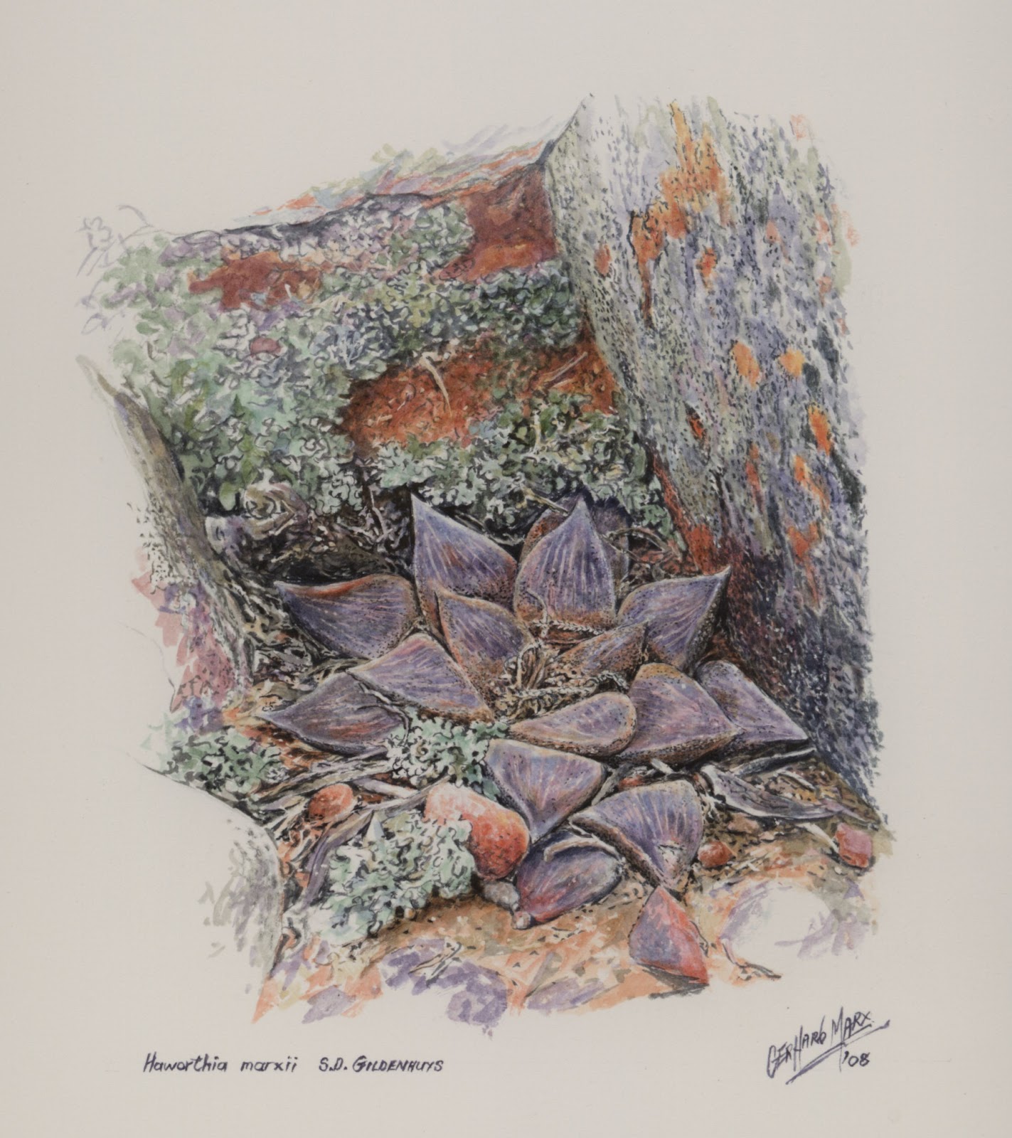 Gerhard Marx: Artwork