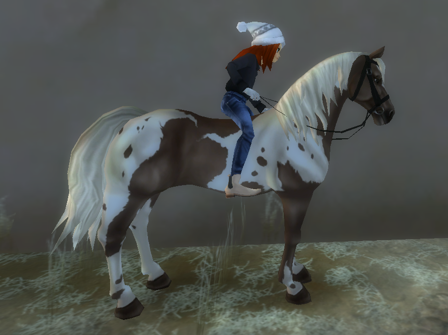 Tove Yellowforest: FAKTAA HEVOSISTA 1: Hevosen luusto