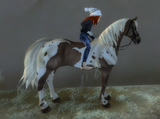 Tove Yellowforest: FAKTAA HEVOSISTA 1: Hevosen luusto