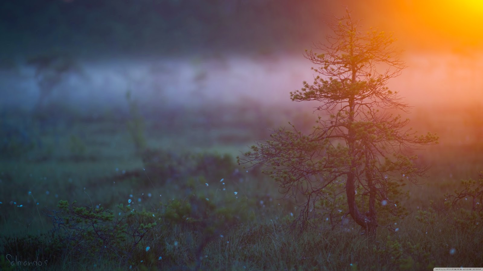 اجمل خلفيات بدقة 4k حصريا