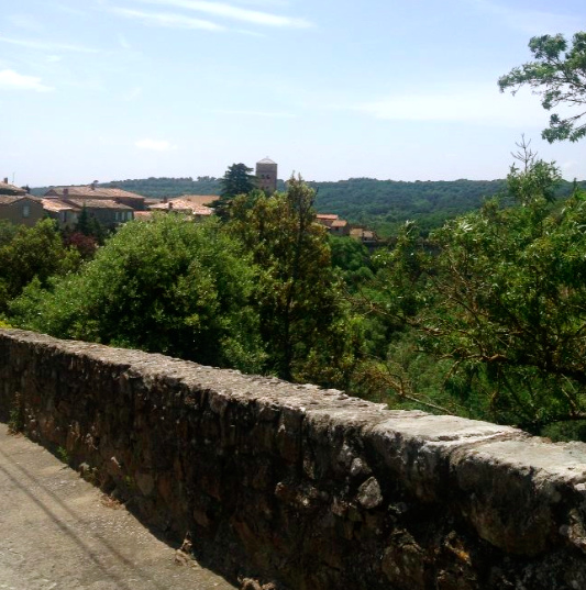A book a day keeps the doctor away: Montolieu, village du livre.
