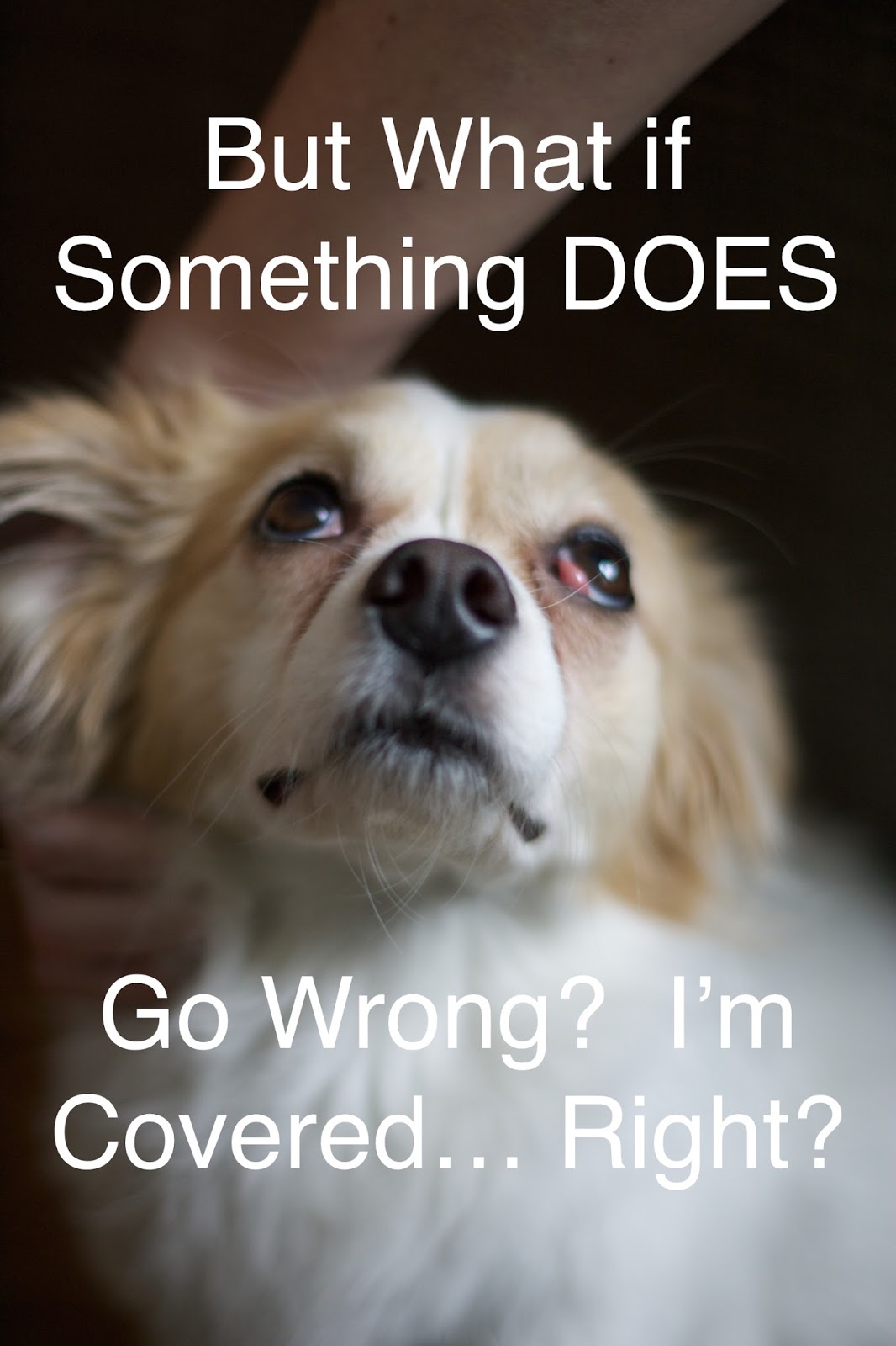 Insurance Meme: Insurance Meme Part 15