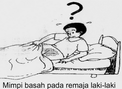 Mimpi Basah dalam Fenomena Seksual - ADAMSAINS™