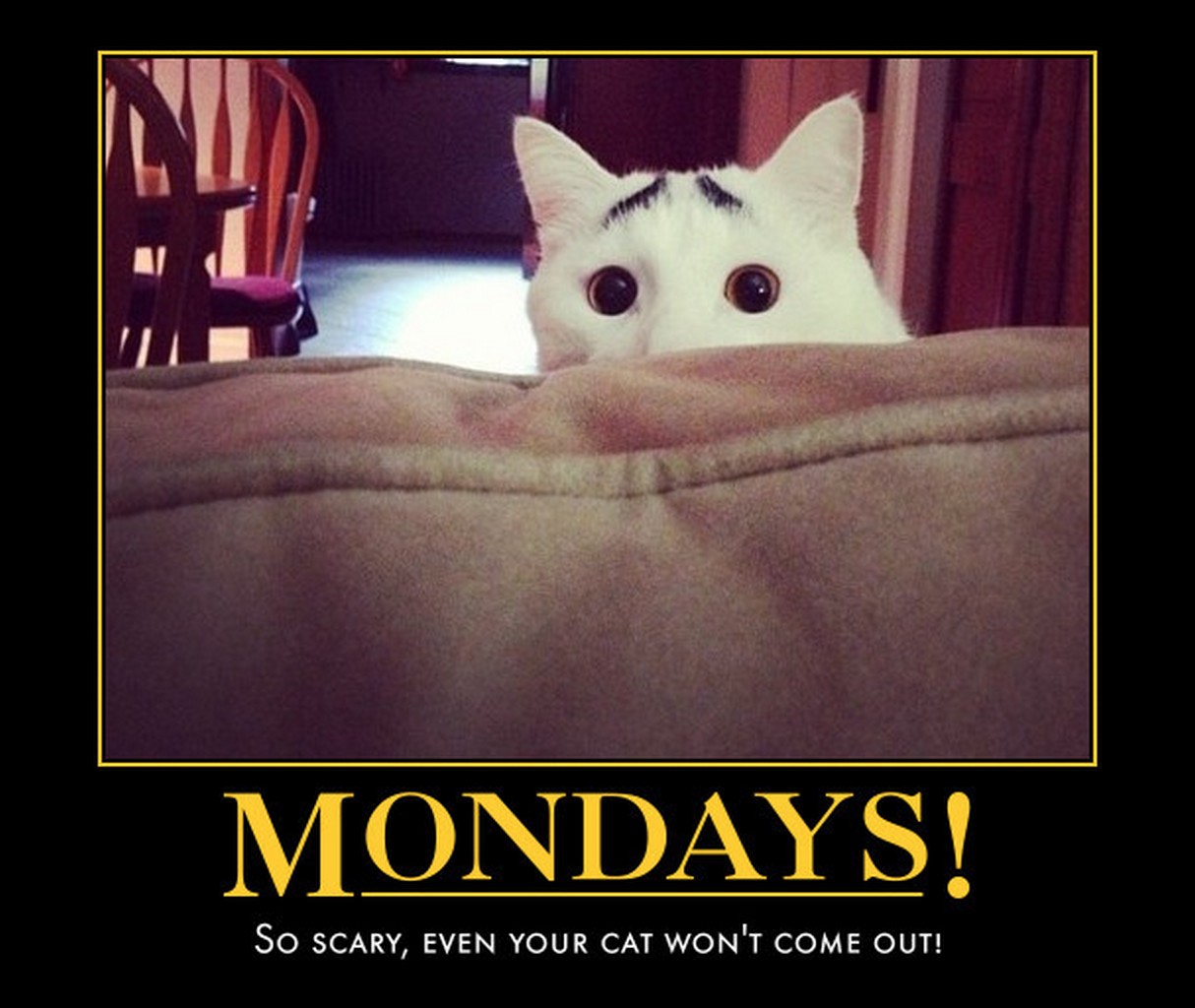 Chuck's Fun Page 2: So, that's how Monday feels - 17 images