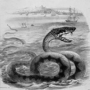 Mythical Animals: Sea Serpents