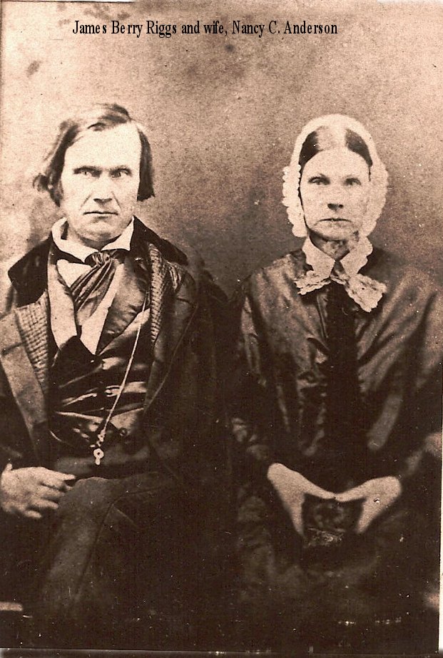 Ordinary Ancestors: #virtualoregontrail Captain James B. Riggs and his ...