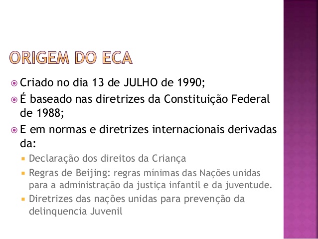 O Estatuto da Criança e do Adolescente: O que é o ECA???